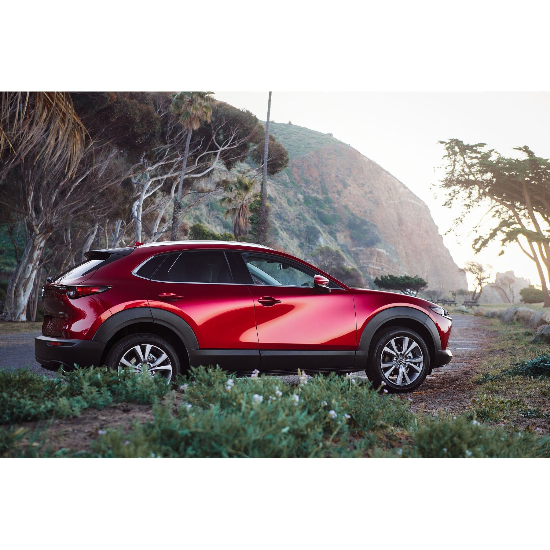 Roof Rack System: Crossbars & Side Rails | Mazda CX-30 (2020-2026 ...